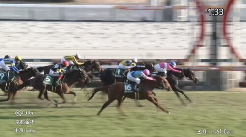 【京都金杯2025】結果・動画/サクラトゥジュールが鮮やかに差し切る