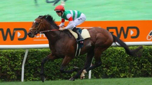 【クイーンエリザベス2世カップ2025】結果・動画/タスティエーラがねじ伏せ快勝