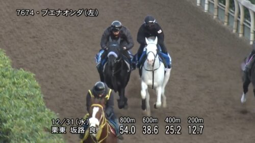 【京都金杯2026】追い切り・コメント/動きを見極め勝利に近づけ